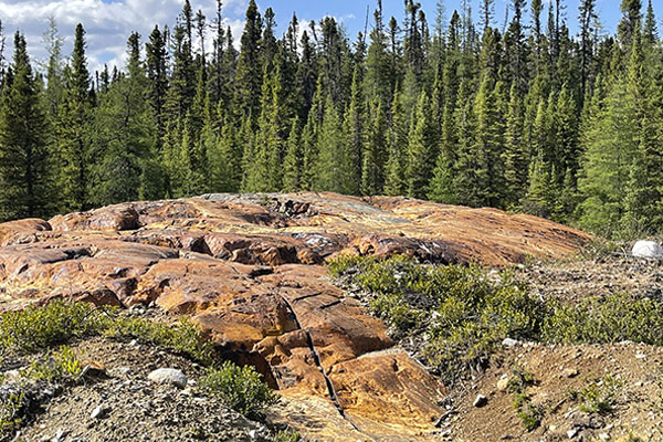 Stelmine.com – Stelmine